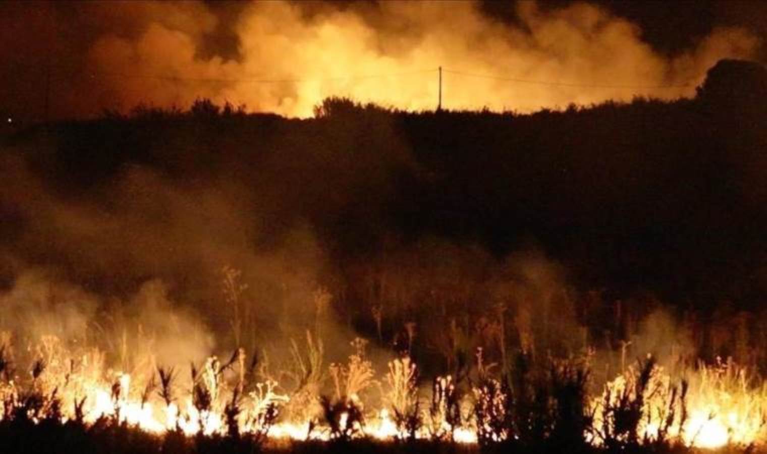 Wildfire spreads across 1,800 hectares in New Zealand’s Tongariro ...