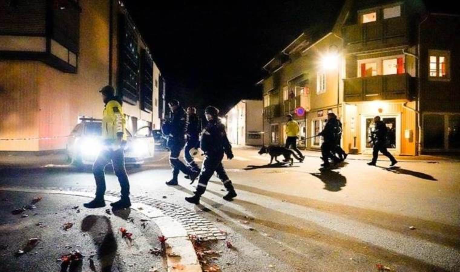 Shooting at Oslo shopping center, perpetrator taken into custody: Report
